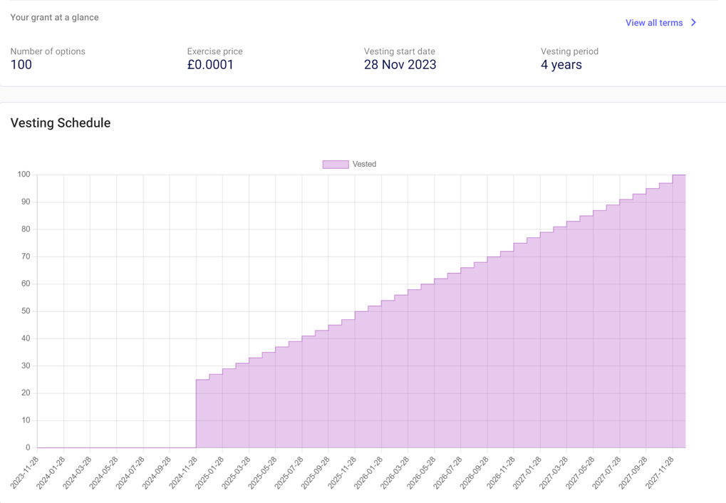 Guide to Option Scheme Rules (Vesting & Exercise conditions explained)